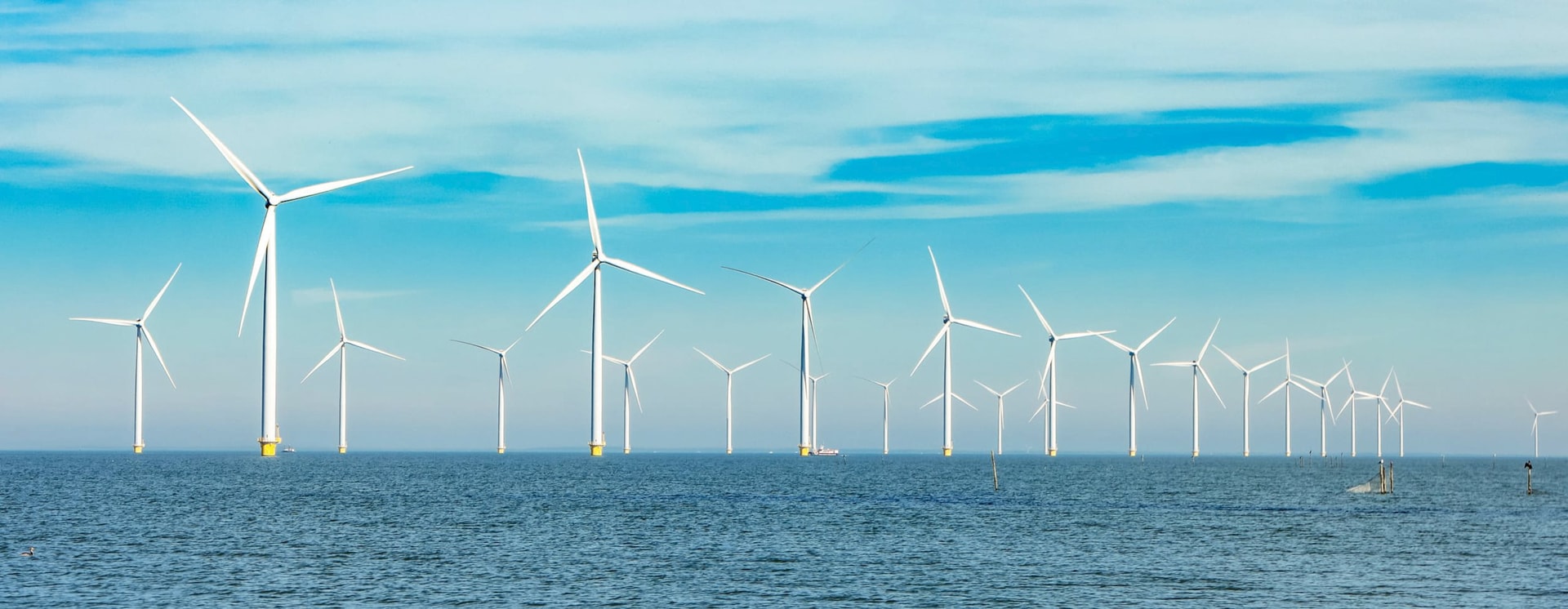 Tin tức, hình ảnh, video clip mới nhất về quy hoach phat trien dien luc ...