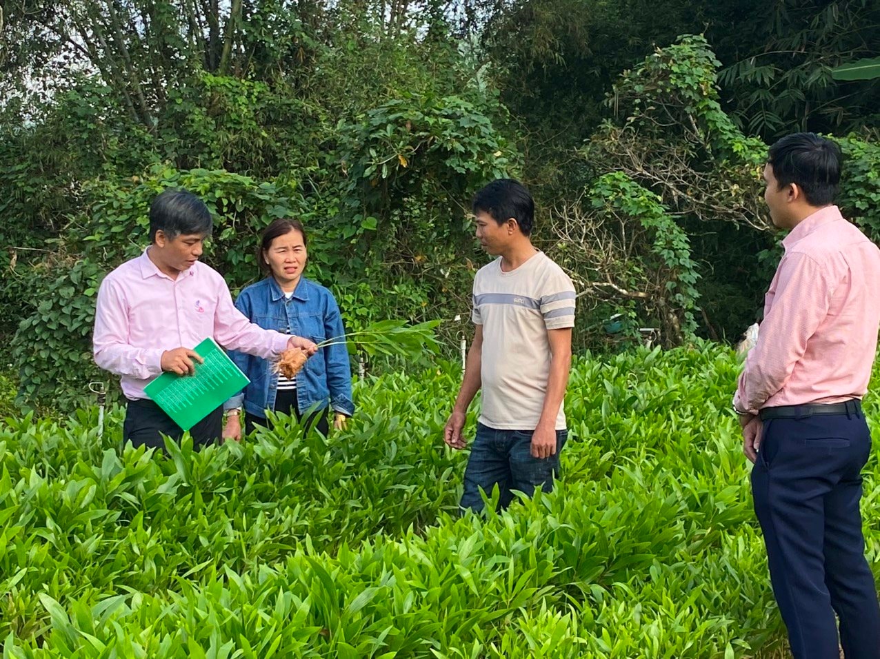 Vùng cao Ba Tơ nâng cao hiệu quả vốn tín dụng chính sách