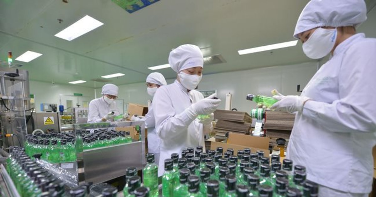 Traphaco đặt kế hoạch lợi nhuận năm 2024 tăng 6%, tham vọng lớn với ...