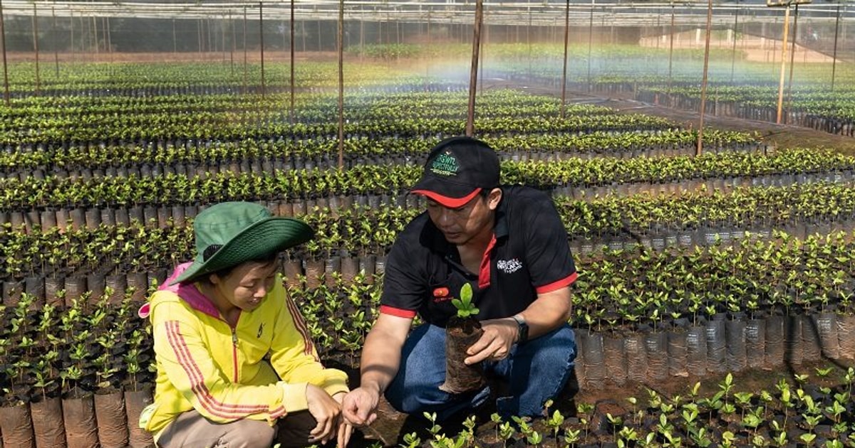 Thương hiệu Nestlé được định giá bao nhiêu trên thị trường thế giới?