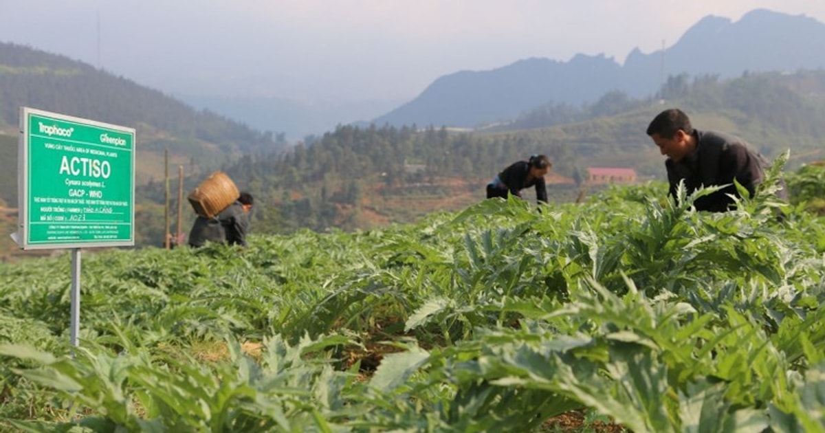 ĐHĐCĐ Traphaco: Không thể trì hoãn việc nâng cấp nhà máy chuẩn EU-GMP ...