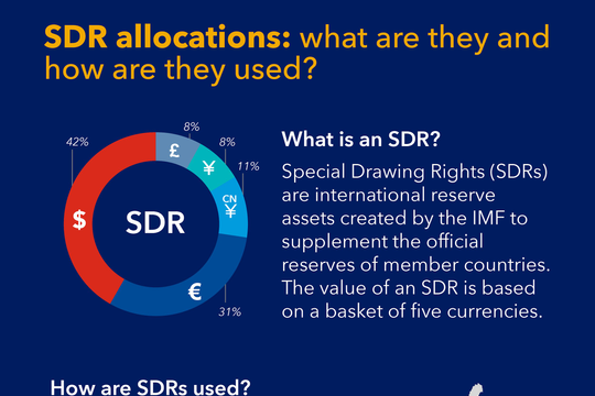 IMF xác định trọng số tiền tệ mới cho giỏ định giá SDR
