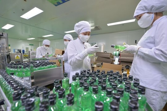 ĐHĐCĐ Traphaco: Không thể trì hoãn việc nâng cấp nhà máy chuẩn EU-GMP ...